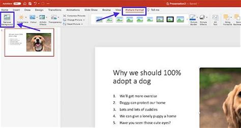 How To Remove Background From Picture In Powerpoint Mac Windows