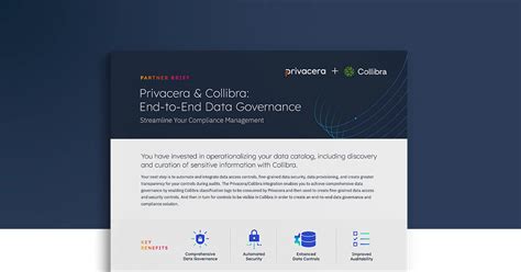 Data Security Governance Datasheets Privacera