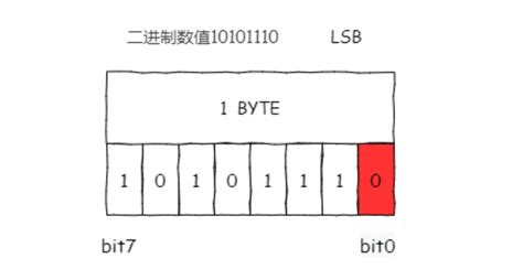 清晰解读c语言中的比特序、字节序、位域、大小端 比特序中的小端是什么 csdn博客