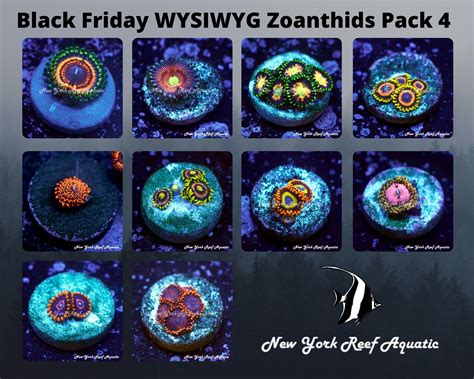 Black Friday Frag Packs Are Here Page 2