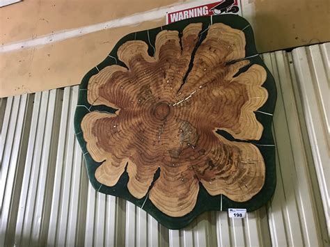 60 Round Sequoia Tree Western Red Cedar Cross Cut Cookie Section