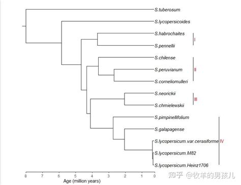 跟着nature Genetics学作图：r语言ggtree画进化树展示不同种番茄的进化关系 知乎