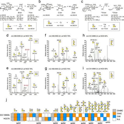 Structural Characterization Of Internal Oligosaccharides A C Download Scientific Diagram