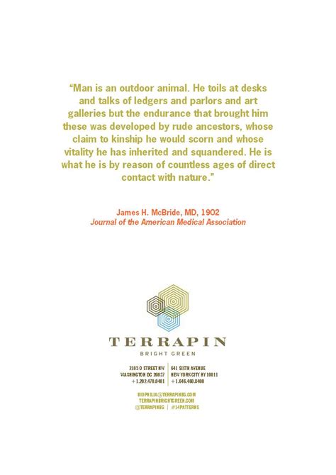 Biophilic Design Regenerativedesign World