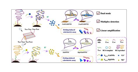 Ultrasensitive Dual Mode Visual Photoelectrochemical Bioassay For Antibiotic Resistance Genes
