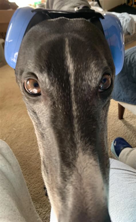 Ready For Thunder Scrolller