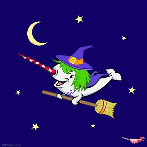 Peppermint Narwhal Creative Know Your Cymatocaeps The Cymatoceps Genus Is Monotypic And