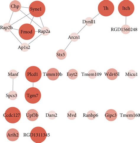 string network with mcl cluster shown protein protein interaction