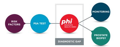 Prostate Cancer Detection Psa Testing Prostate Health Index Phi