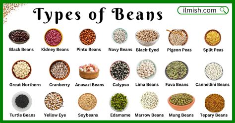 60 Types Of Beans Names In English And Their Pictures Ilmish
