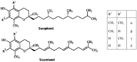 Tocopherol Structure