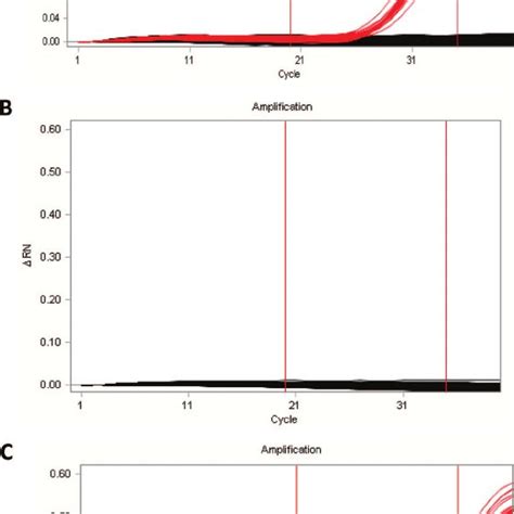 Examples Of Data Output From A Chip Based Real Time Dpcr Instrument Download Scientific Diagram