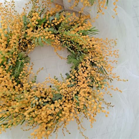 양산꽃집 물금꽃집 범어꽃집 리슬플레르 미모사리스 네이버 블로그