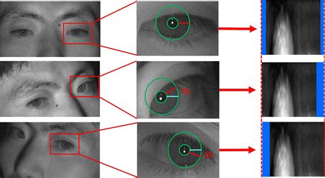 Alignment Free And Distortion Robust Iris Recognition Deepai