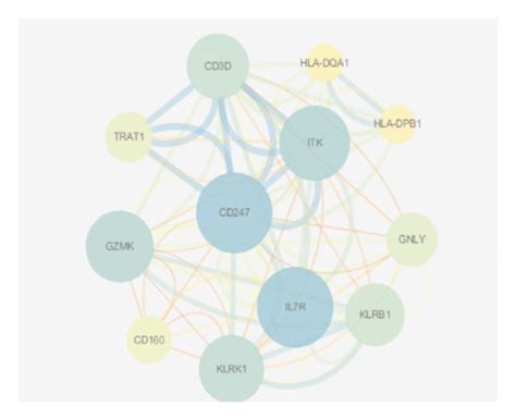 the protein protein interaction ppi networks based on the screened