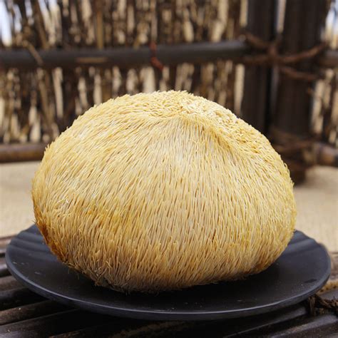猴头菇干货长白山特产新鲜野生菌猴菇菌菇粉干猴头菌250g包邮 虎窝淘