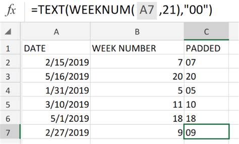 Excel Formula Pad Week Numbers With Zeros Excelchat