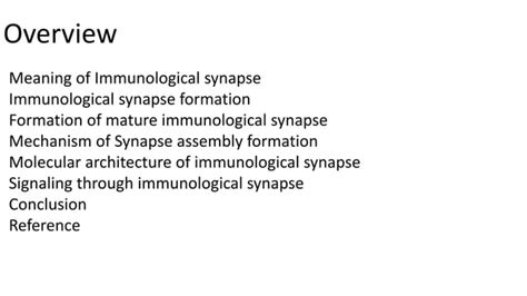 Immunological Synapse Ppt