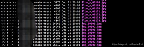 Denseflow视频截帧提取光流工具 Csdn博客
