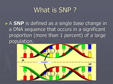Single Nucleotide Polymorphism Snp Ppt Chemistry Science