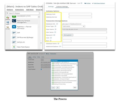 Boomi Sap Integration Guide Jade
