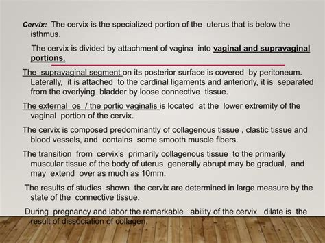 Lecture 1 Clinical Anatomy Of The Reproductive Tract Vulvovaginitis Pptx