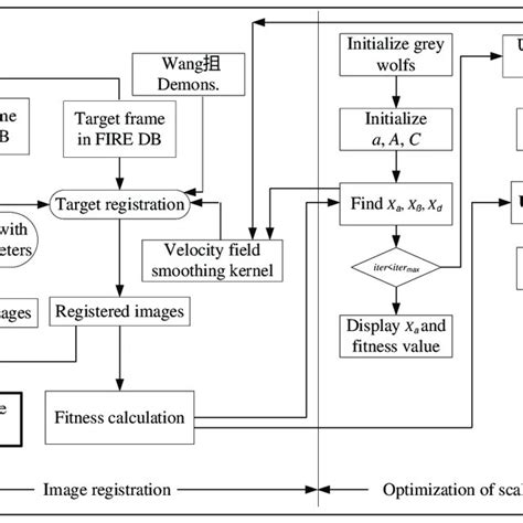 Grey Wolf Optimization Algorithm Based Wangs Demons Registration