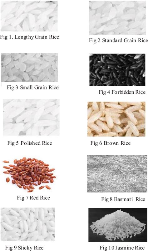 Figure 4 From Classification Of Rice Grains With Feature Extraction Using Discrete Wavelet