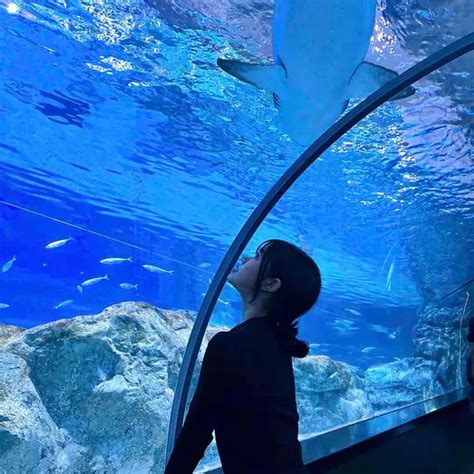 ~2xl 하이웨스트완전편함 차르르 버튼 투핀턱 롱 와이드 슬랙스 기장선택 키작녀 키큰녀 빅사이즈 에이블리 스토어