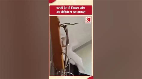 Garib Rath Train में पांच फीट लंबा सांप देखते ही यात्रियों के उड़े होश