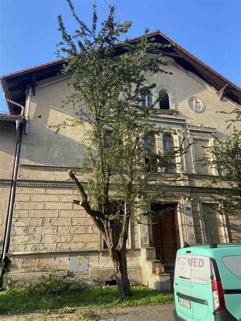 Straciliśmy Kolejne Drzewo Bolesławiec