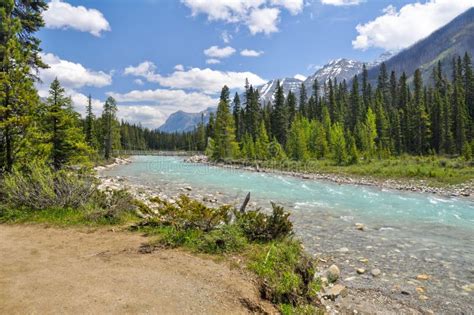 Vermilion River At Kootenay National Park Royalty Free Stock
