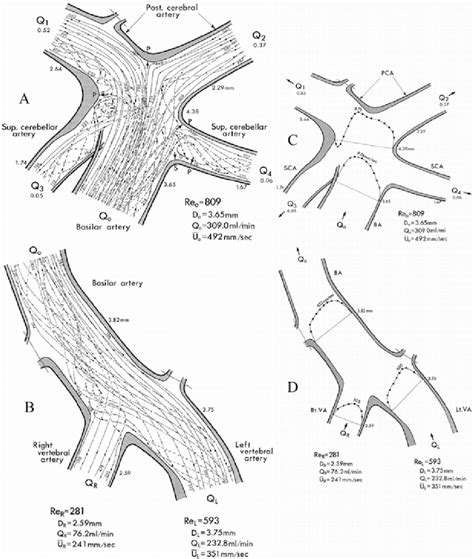 Detailed Flow Patterns A And B And Distributions Of Fluid Axial Download Scientific Diagram