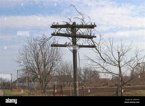 Power Line Pole With Broken Wires Tree Branches Hang On A Pole Consequences Of A Hurricane