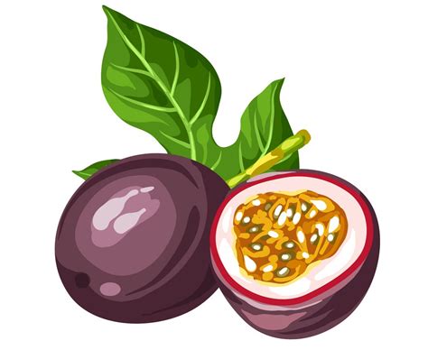 Half Of Passion Fruit Clipartworld