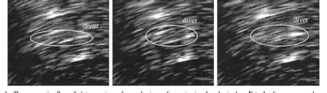 Figure 1 From Robust Tracking Of Multiple Objects In Sector Scan Sonar Image Sequences Using