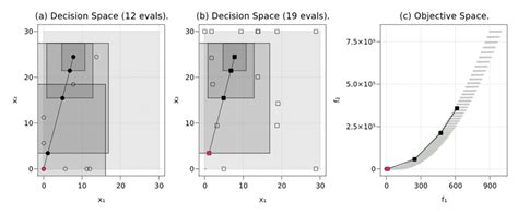 Two Runs With Maximum Number Of Expensive Evaluations Set To 20 Soft