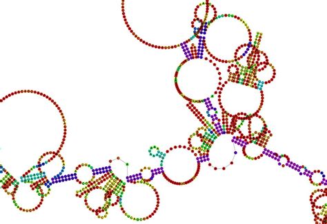 When Will Rna Structure Prediction Get Its Alphafold Breakthrough From Arturo Robertazzi