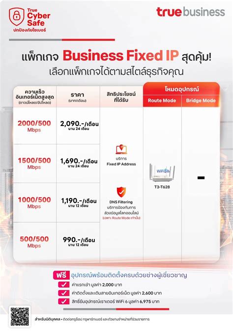 โปรโมชั่น Fixed Ip Address Dns Filtering บริการแจ้งเตือนและป้องกันการจารกรรมข้อมูล