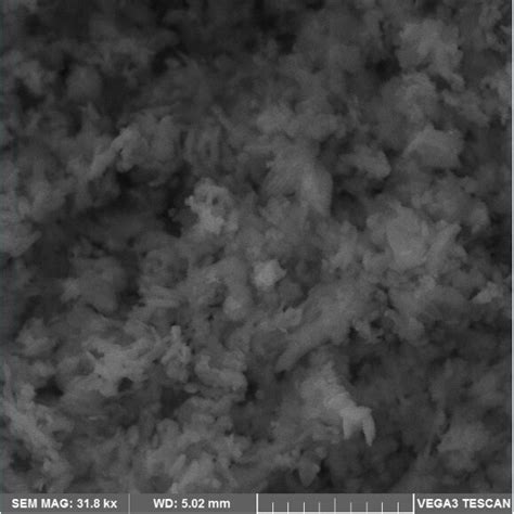 Scanning Electron Microscope Image Of Copper Oxide Nanoparticles Download Scientific Diagram