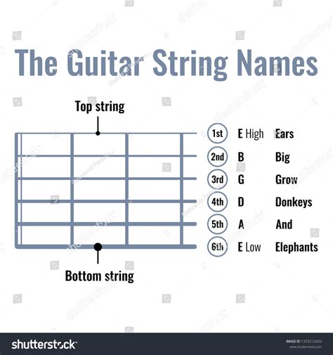Guitar String Names Vector Illustration Isolated Stok Vektör Telifsiz 1333212620 Shutterstock