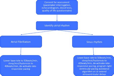 Ventricular Pacing Avoidance Protocol 9 Download Scientific Diagram