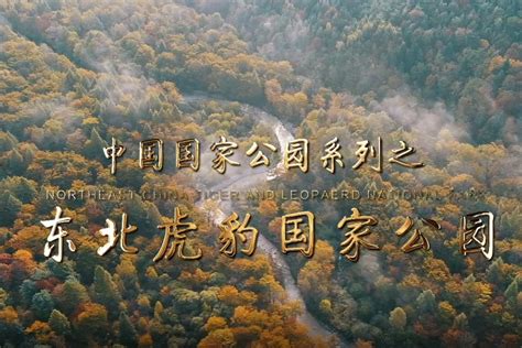 东北虎豹国家公园 凤凰网视频 凤凰网