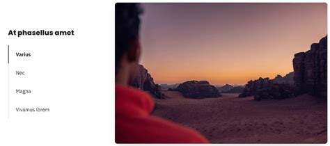 Improve Website Visitor Interaction Using Vertical Tabs OptimizePress