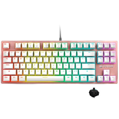 Rapoo 雷柏 V500 87键 有线机械键盘 玫瑰金 雷柏黑轴 Rgb【报价 价格 评测 怎么样】 什么值得买