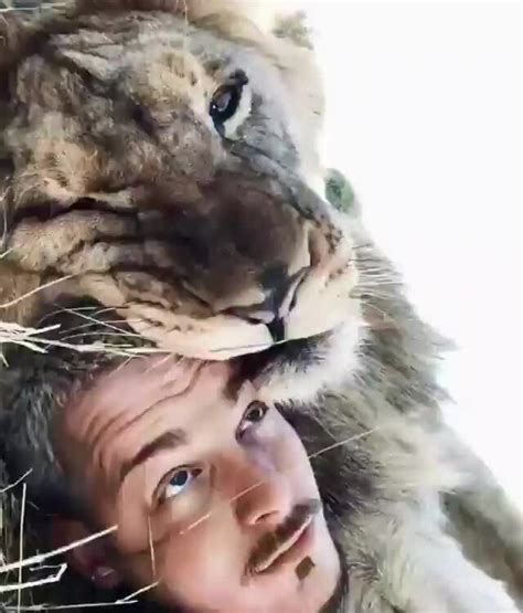 Man Hugging A Lion