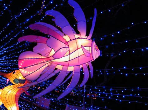 กิจกรรมลอยกระทงภาคใต้ ปี 2554