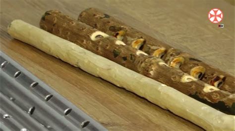 თევდორე გოგოლაძე უენო სალამურის ახალგაზრდა მკვლევარი Youtube