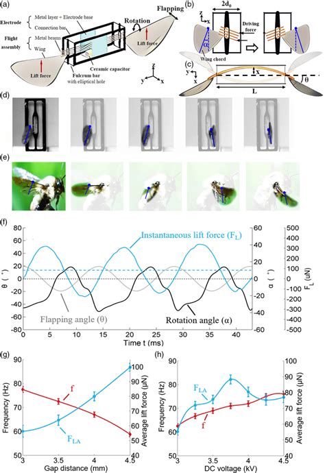 The Ground Testing Prototype And Experimental Results Prototype 1a