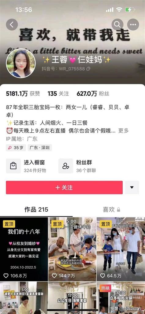 宝妈个人简介怎么写吸引人容易涨粉的个人介绍宝宝 大商梦